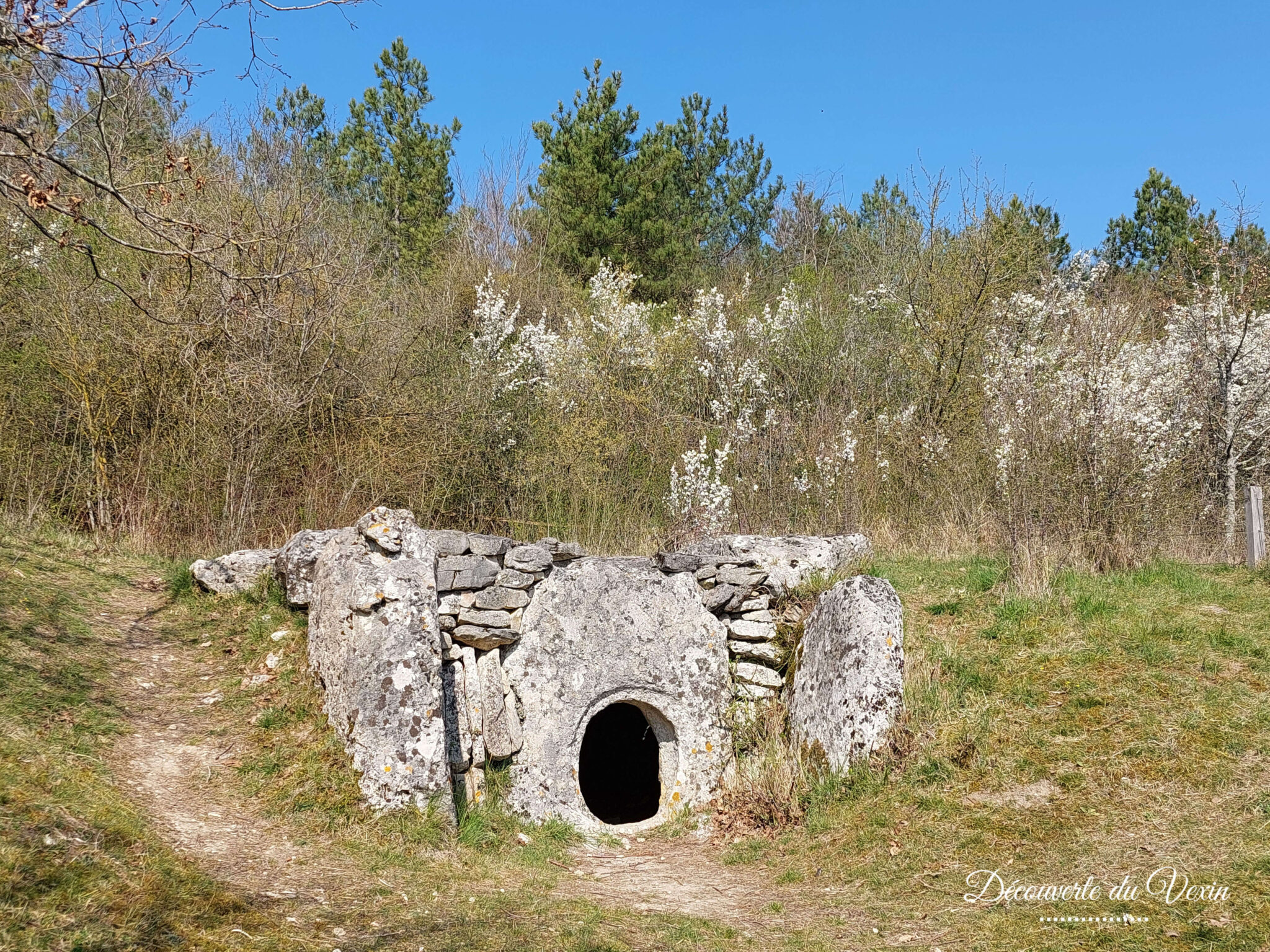 Visite du Bois de Morval au pas de l’âne – Découverte du Vexin